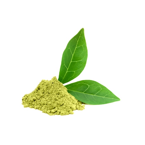 Green Tea Extract 1428 | MakingCosmetics